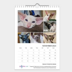 Siamese & Oriental Cat Calendar 2023 by CattyLicious Cat Calendars