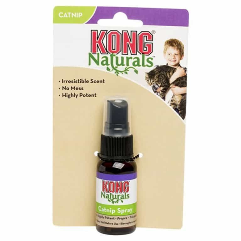 KONG Naturals Catnip Spray - CattyLicious Cat Toys